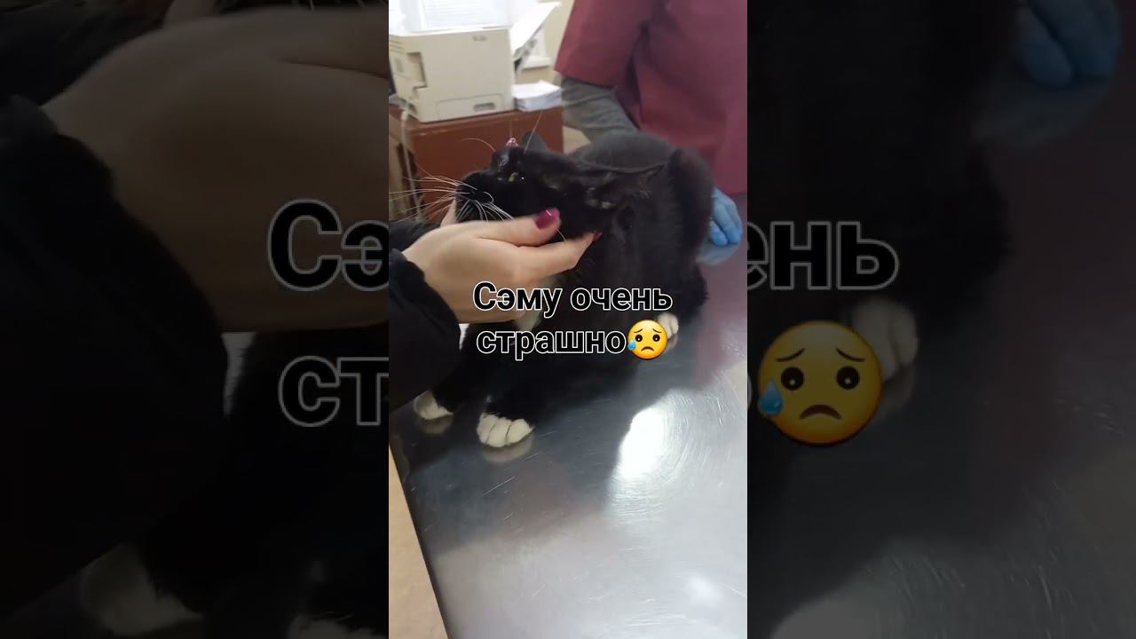 Страх в глазах