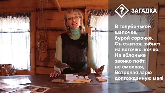 Ждём птиц