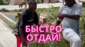 Быстро отдай!
