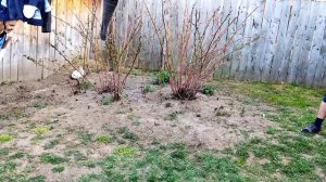 На Обеде/Обновка/Кролики Гуляют/Она Собралась Рожать/Высаживаю Цветы/Ощенилась ?♀️?13.05.22