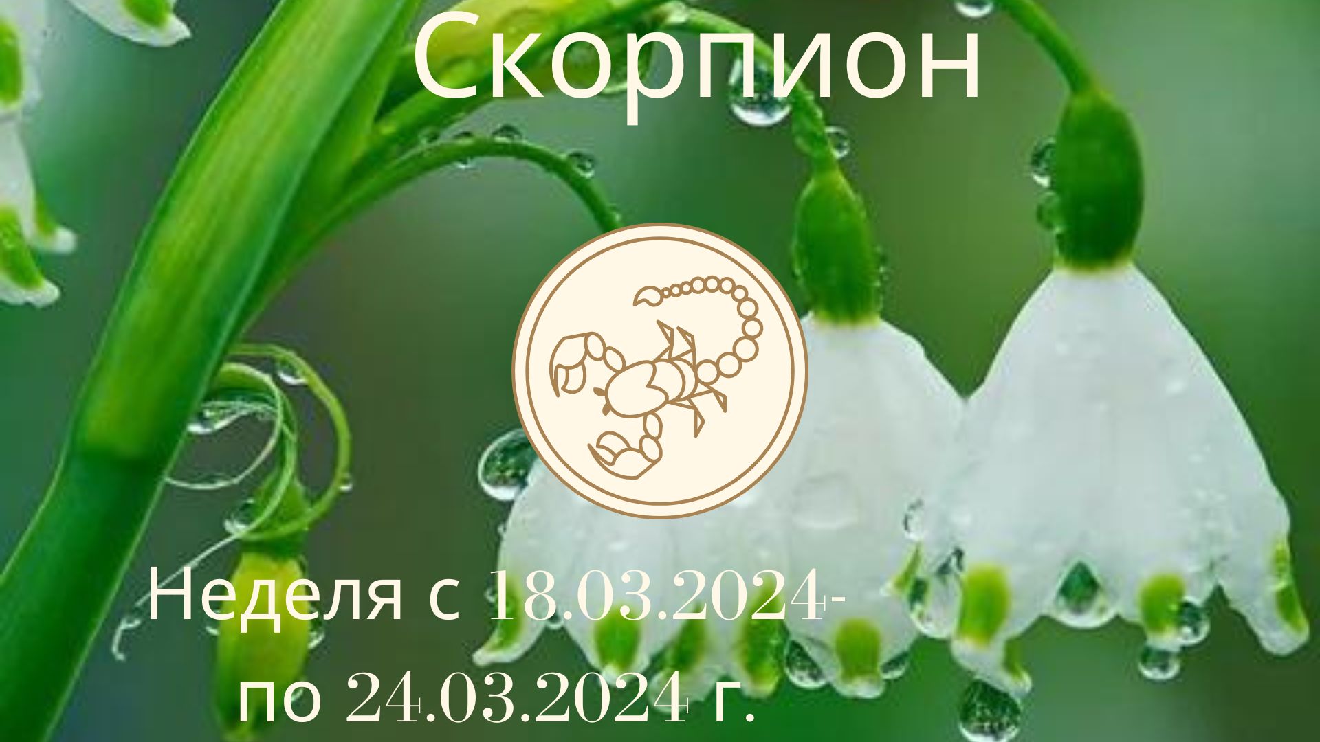 Скорпион. Гороскоп на неделю с 18 марта по 24 марта 2024 года.