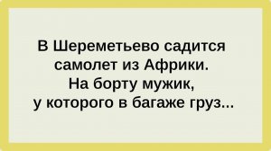 В ШЕРЕМЕТЬЕВО садится САМОЛЁТ из Африки. Смешные анекдоты и истории каждый день без повторов! Юмор!