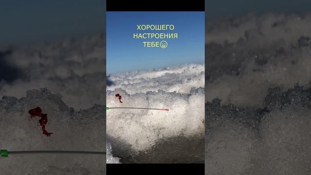 Загиб кивка - мечта рыбака! #shorts