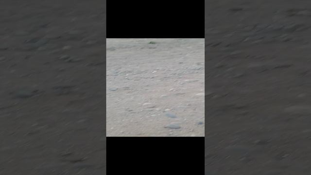 ейск , пляж