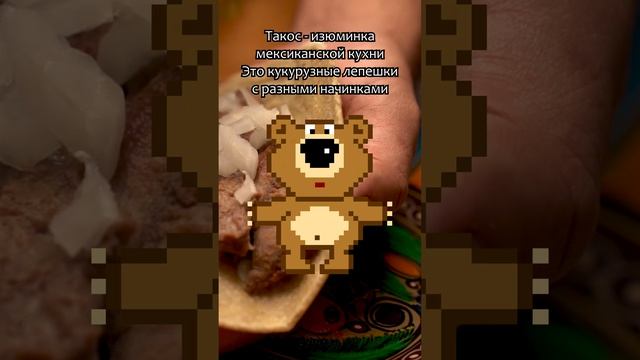Мишка и такос