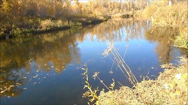 золото осени на реке