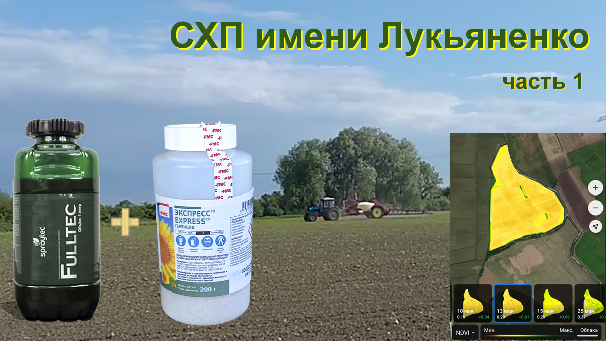 Лукьяненко.mp4
