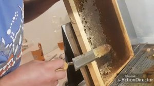 Итоговая откачка меда 2019, хранилище рамок