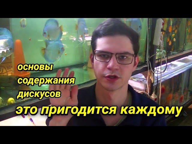 Дискусы - основы содержания, кормления и лечения