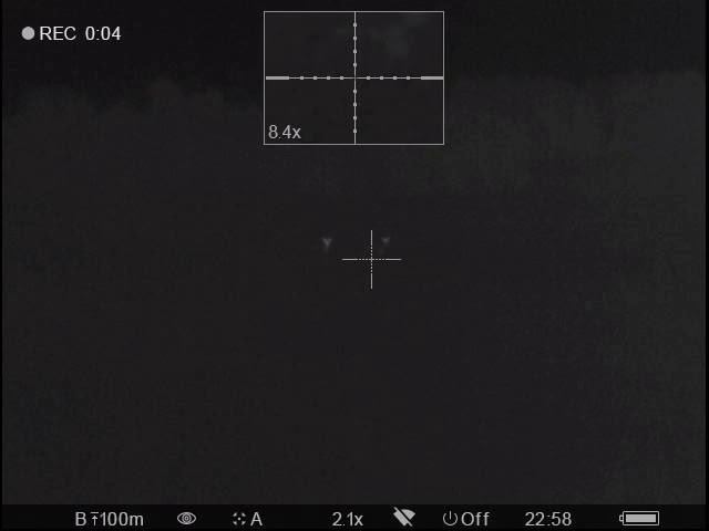 Косули в тепловизионный прицел Pulsar Trail XQ38