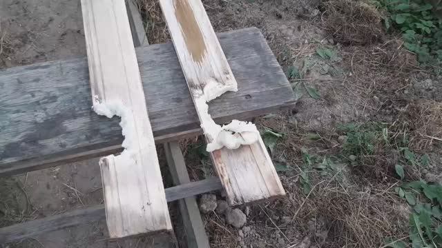 Гниет ли дерево под пеной_Еще одно доказательство.