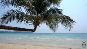 Beautiful Maldives and Nature with Relaxing Music
