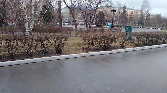 Барнаул, Политех, под лапками ели, 20 апреля 2022.mp4
