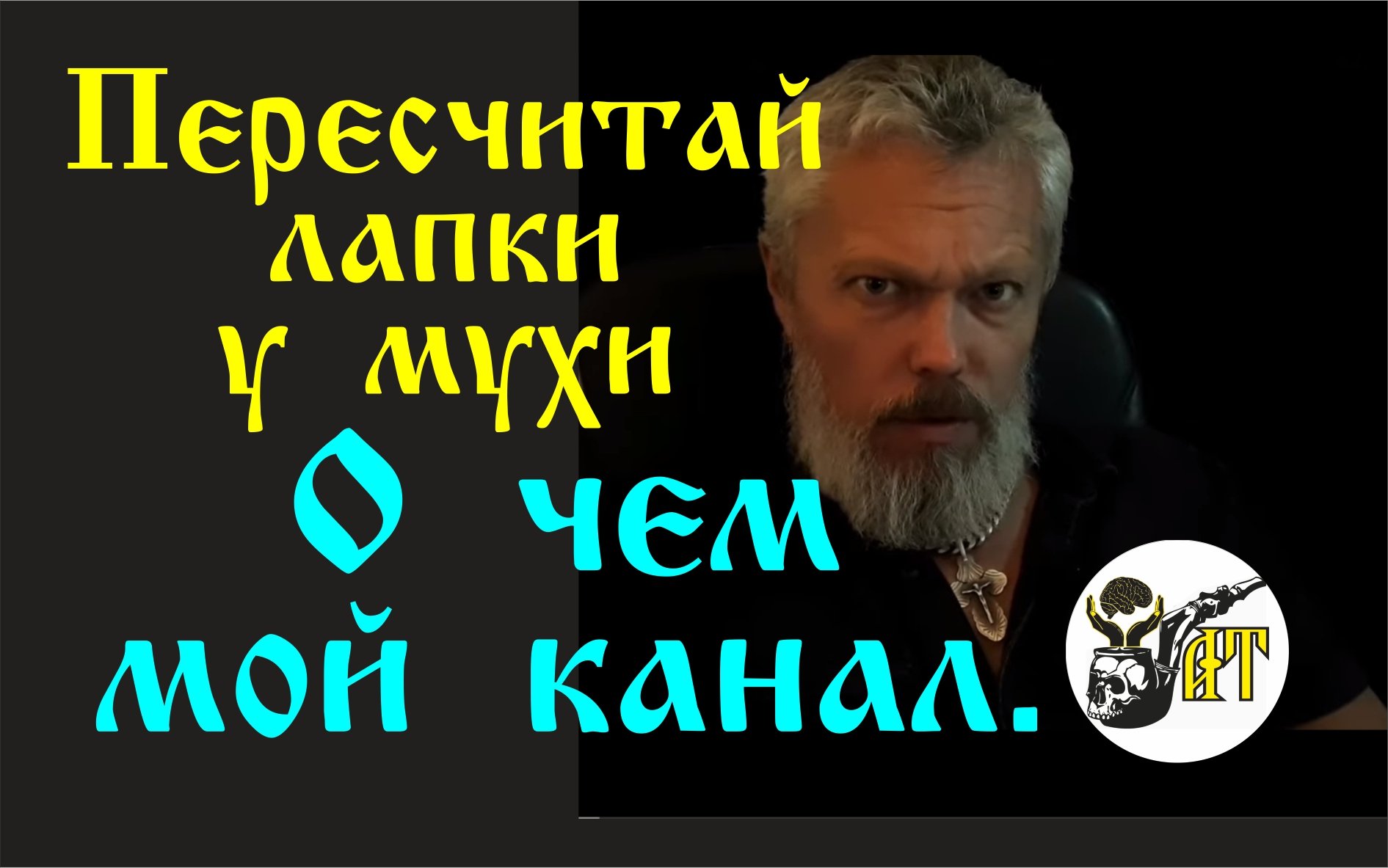Пересчитай лапки у мухи. О чем мой канал.mp4