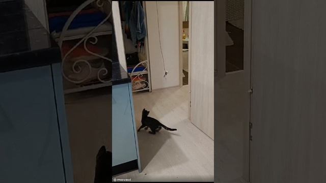 Лететь