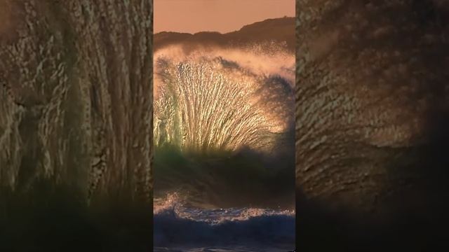 Красота океанской волны завораживает