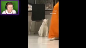 Засмеялся - Задонатил