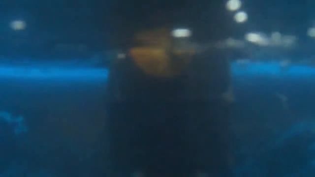 Наблюдение за рыбками