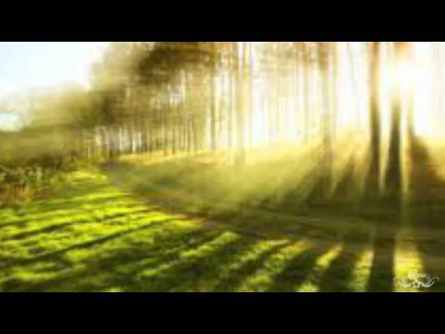 Весна.  Футаж7. Скачать бесплатно