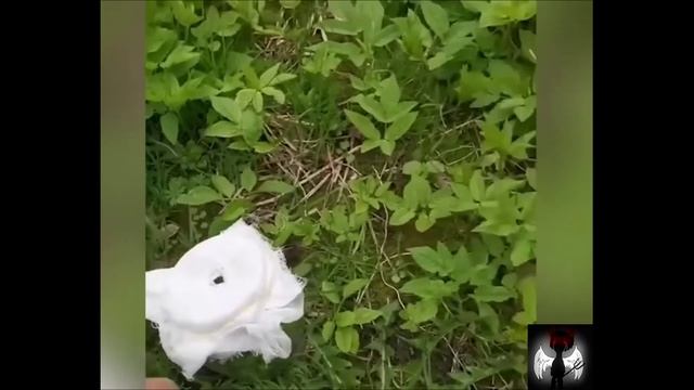 Cмех до слёз №2