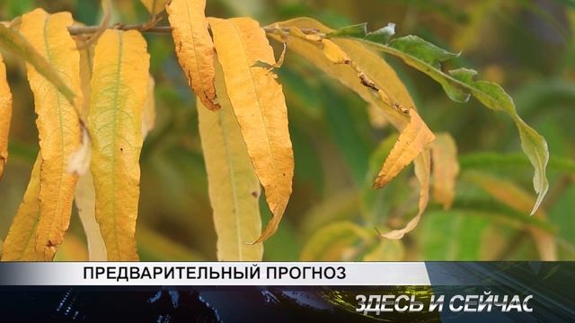 ПРЕДВАРИТЕЛЬНЫЙ ПРОГНОЗ ПОГОДЫ С 27.09.2021 ПО 03.10.2021 В КАНСКЕ