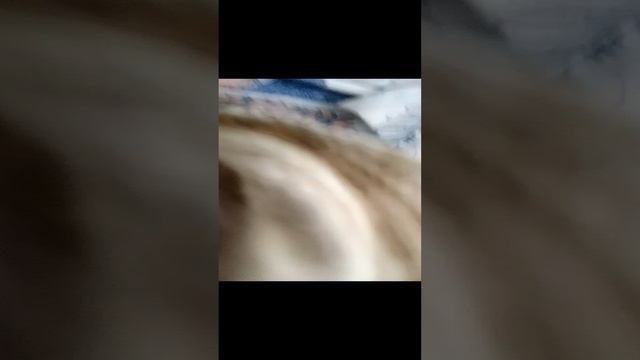зосенька❤️