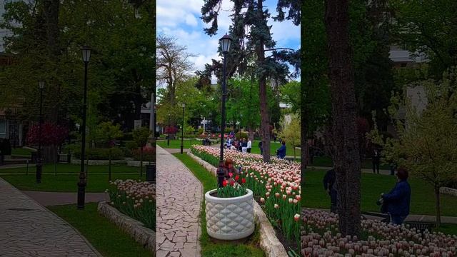 Пятигорск Цветник