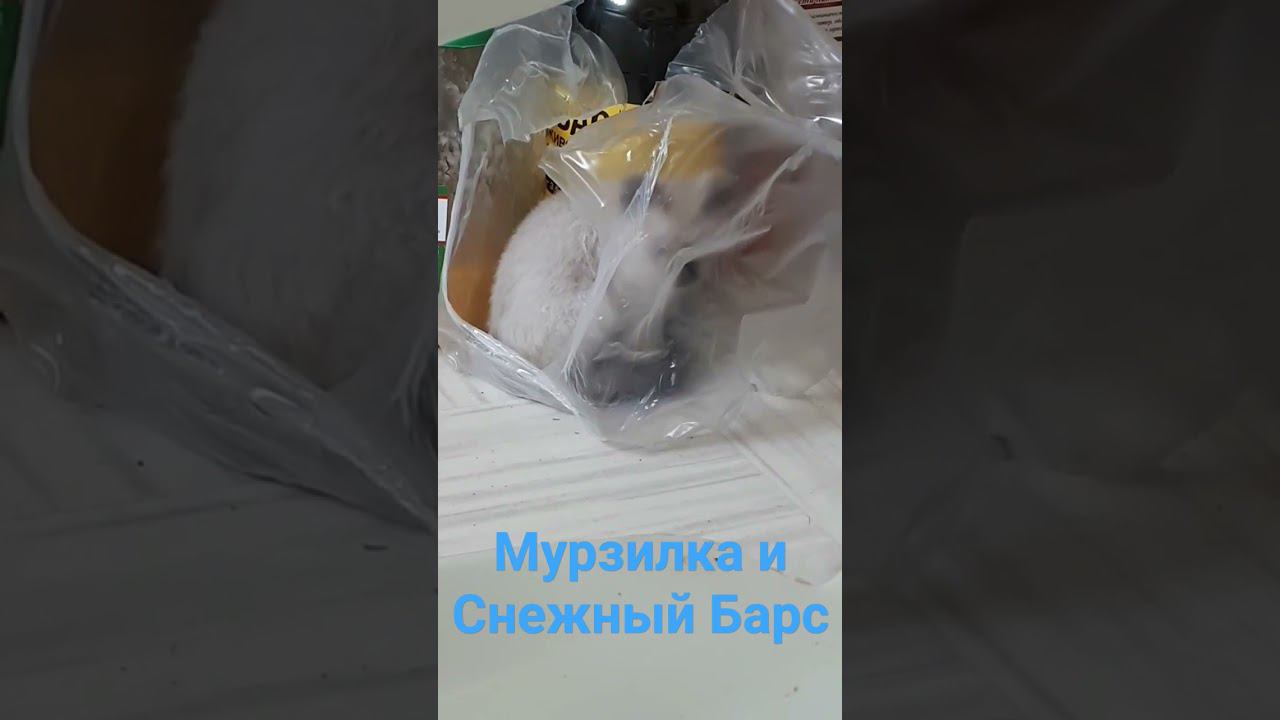 я в домике!