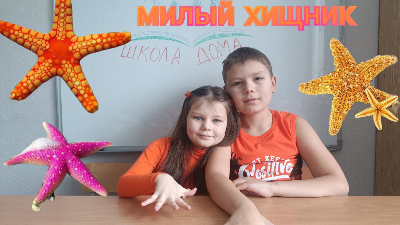 Морские звёзды