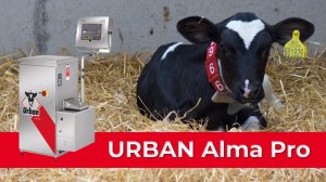 Станция выпойки телят | Urban Alma Pro | Омская область