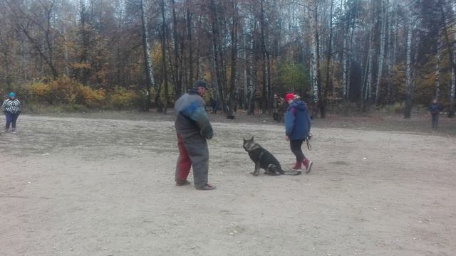 Албасты Борман на костюм в угон и обыск, 1,8г. осень 2020г