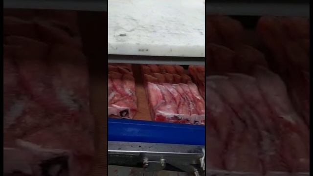 Рыбацкие дела..mp4