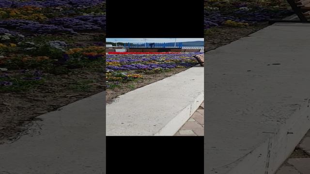 Набережная реки Амур (часть 13)