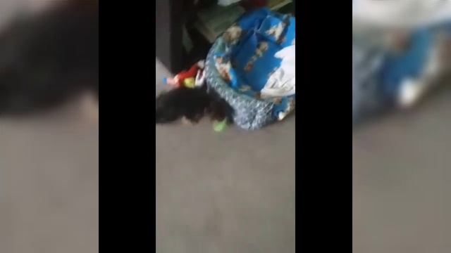 Приколы с животными | Приколы угары | Засмеялся подписался #2