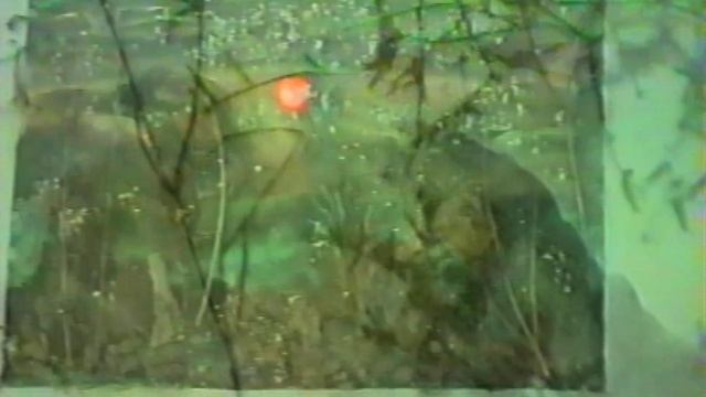 1994 Мегион СШ4 выставка Дзик.mp4