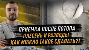 ПРИЕМКА КВАРТИРЫ ПОСЛЕ ПОТОПА / ВЗДУТЫЙ ЛАМИНАТ, ПЛЕСЕНЬ / КАК ТАКОЕ МОГУТ СДАВАТЬ?