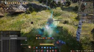 Black Desert Маэва-фарм банки