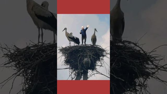уютное гнёздышко