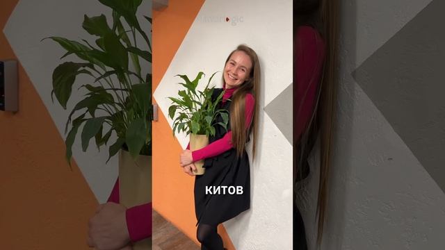 В тему о любимой работе????