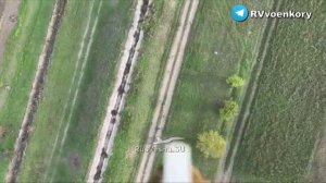 Война на Херсонщине: 247-й казачий полк ВДВ охотится на ВСУ, с помощью дронов