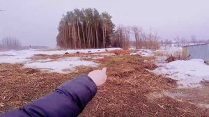 Первые дни на даче после зимы.
