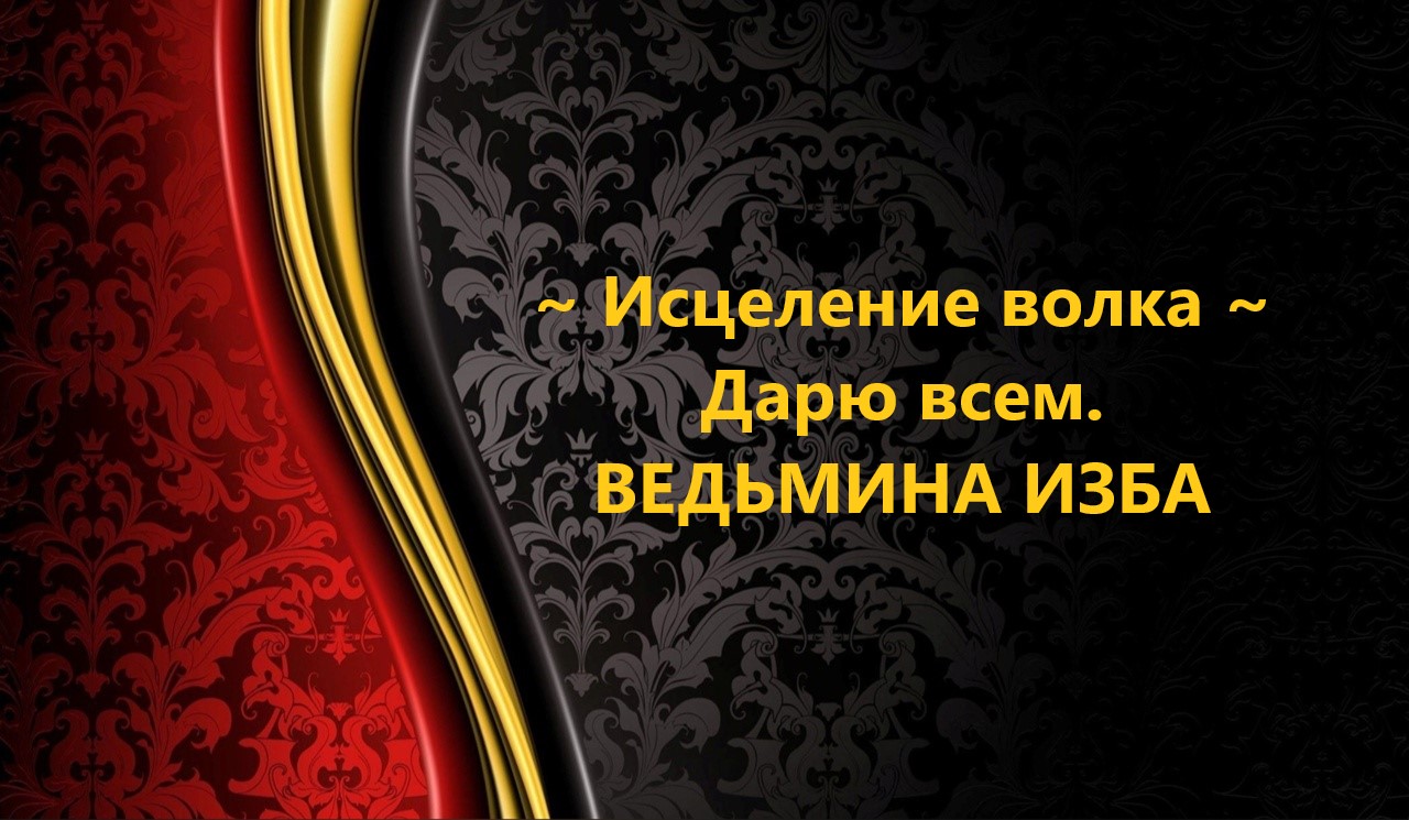 МОЛИТВА ВОЛКА..ИСЦЕЛЕНИЕ..ДАРЮ ВСЕМ.АВТОР: ИНГА ХОСРОЕВА