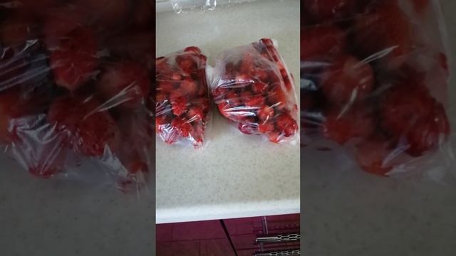 Заготовки..mp4