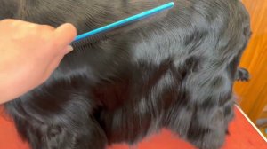 H-Project Revitaliser и Groomer’s edge The Solution
