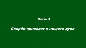 Узкий путь святителя Игнатия.
Часть 3. Скорби приводят к нищете духа