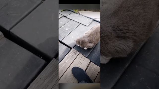 Пьяный Чапа рыбу ловит ок лайфа