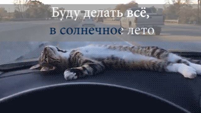 AnyMotions. VidGIF Лето (караоке edition)