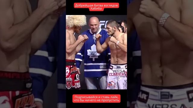 Добрейшая битва взглядов Хабиба #fight #mma #popmma #reels #ufc #ufc4