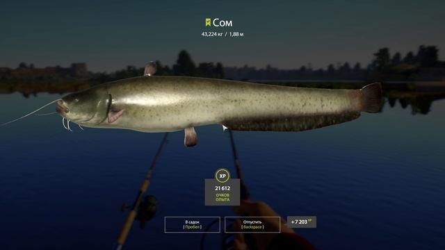 ?Приличное Russian Fishing 4 2023.04.19  I