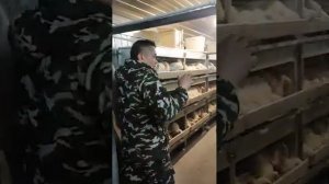 Отзыв о клетках ТЗКО.РФ